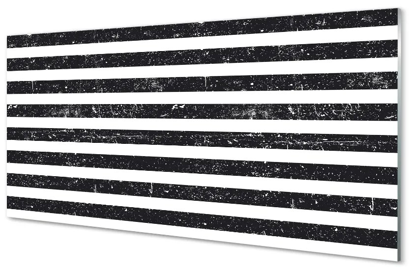 akrylový obraz Zebra pruhy skvrny 100x50 cm