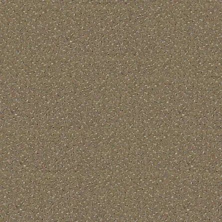 Zátěžový koberec Fortesse Sde New 40