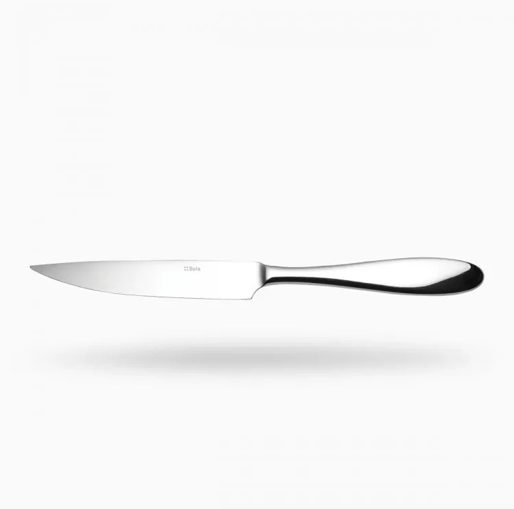 Sola - Steakový nůž s dutou rukojetí 24,5 cm – Turin (103784)