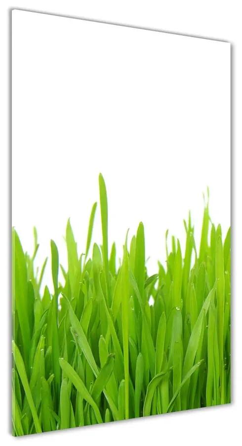Wallmuralia Foto obraz akrylový do obýváku Zelená tráva 70x140 cm