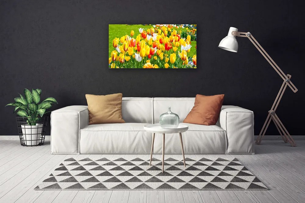 Obraz na plátně Tulipány Květiny Příroda 100x50 cm