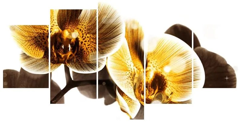 Obraz žlutých orchidejí (150x80 cm), 40 dalších rozměrů