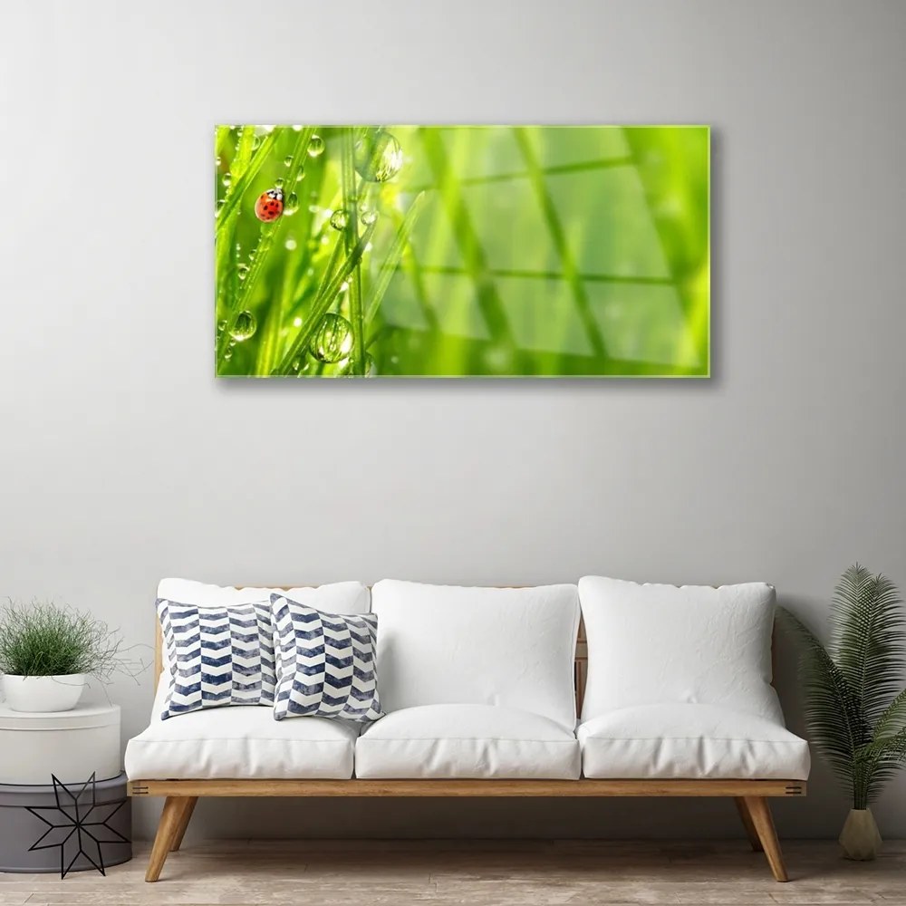 Obraz na skle Tráva Beruška Příroda 140x70 cm