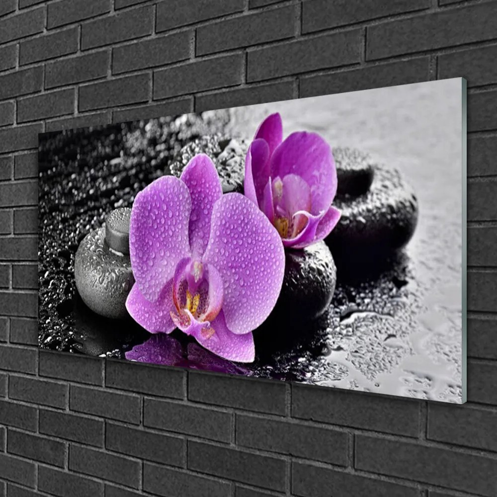 Obraz na skle Orchidej Květiny Kameny Zen 100x50 cm