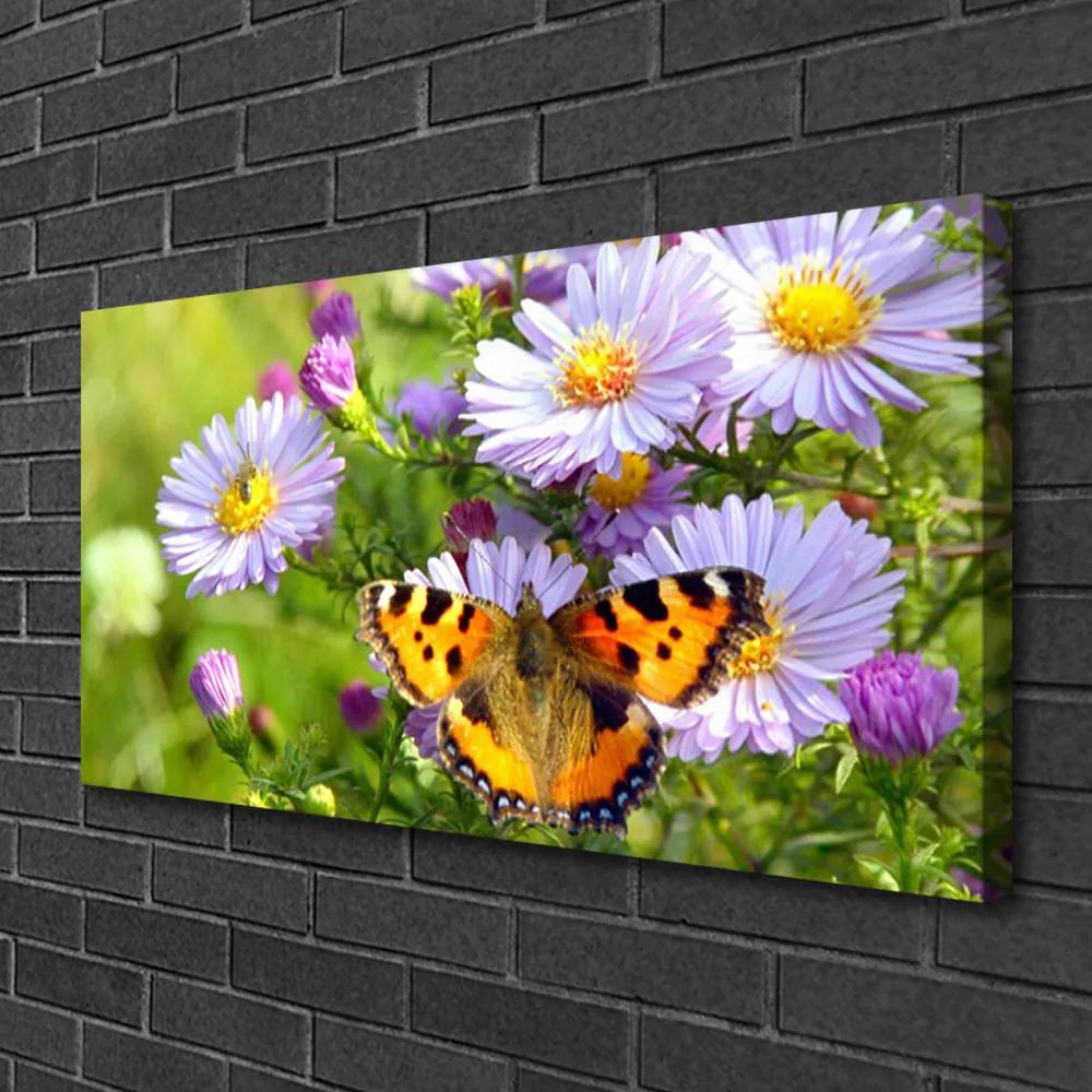 Obraz na plátně Květiny Motýl Příroda 125x50 cm