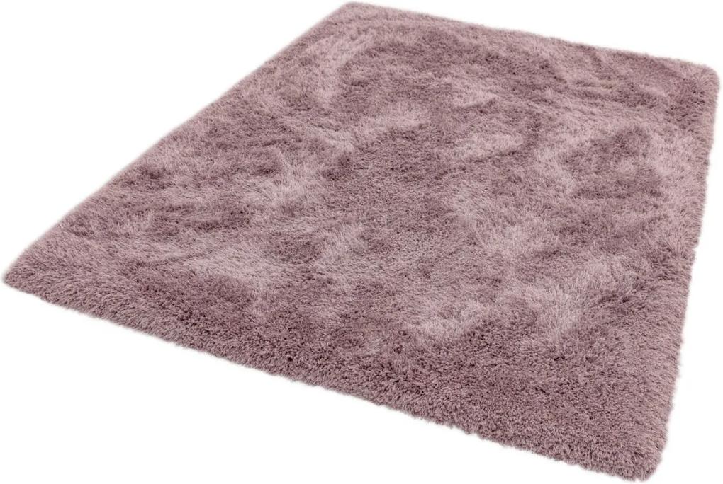 Fialový  koberec Genesis Heather Rozměry: 100x150 cm