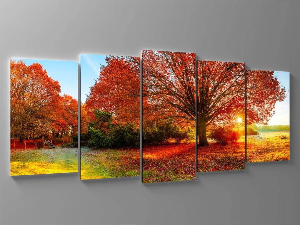 Liox Obraz strom v paprscích slunce Rozměr: 250 x 110 cm