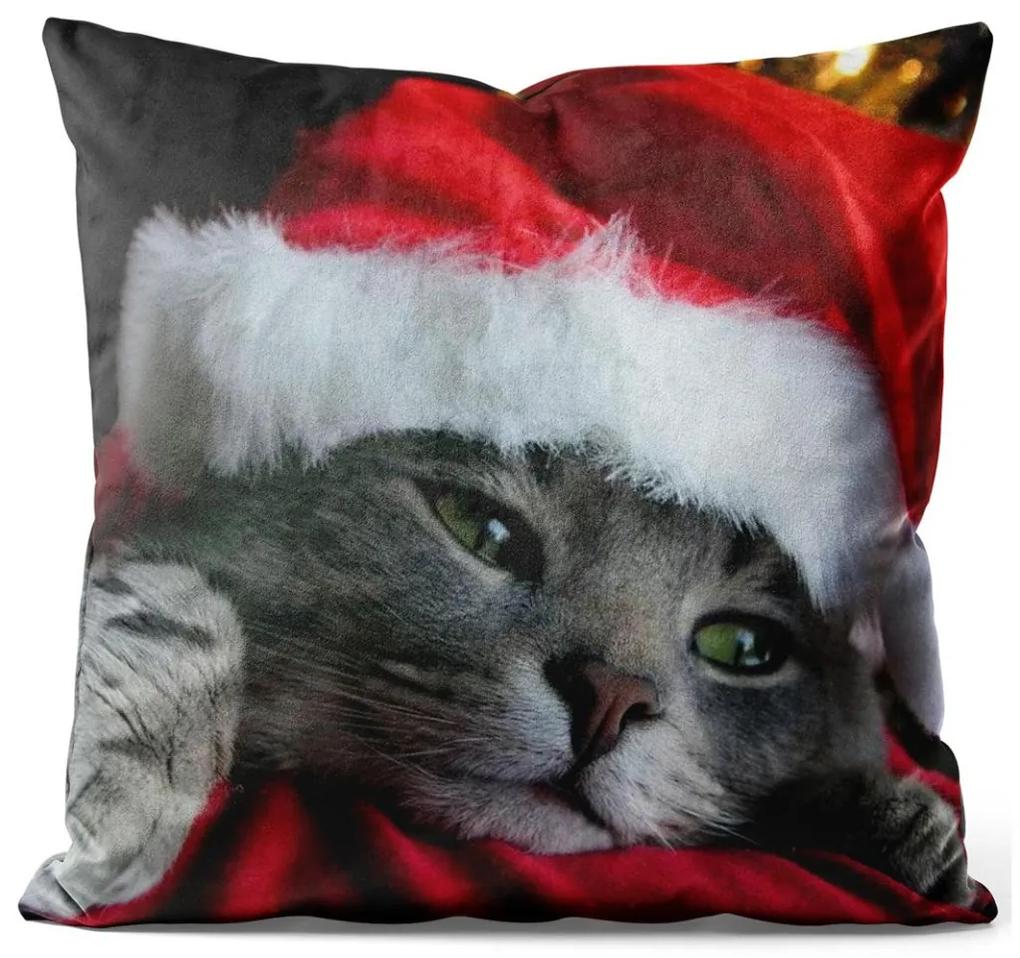 Dekorační velurový polštář Vánoční kočka v Santově čepici - sváteční zvíře na tmavém pozadí