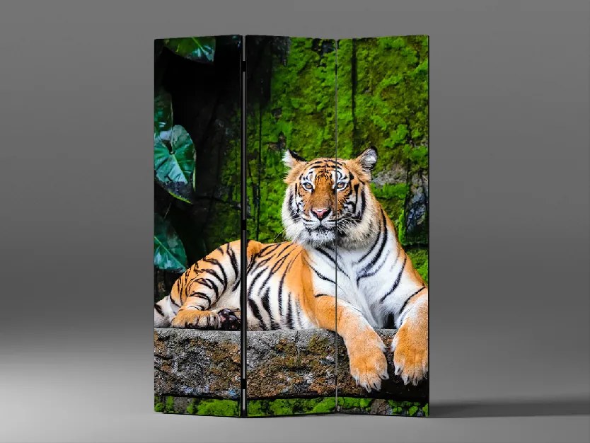 Liox Paraván ležící tygr Rozměr: 135 x 180 cm