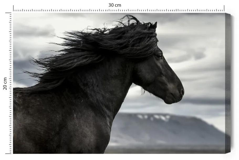 Obraz Černý Kůň Na Pozadí Mraků Nedostatek Nedostatek Plátno Canvas 90x60