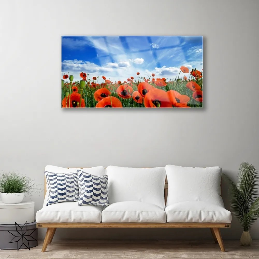 Obraz na skle Louka Máky Květiny 140x70 cm