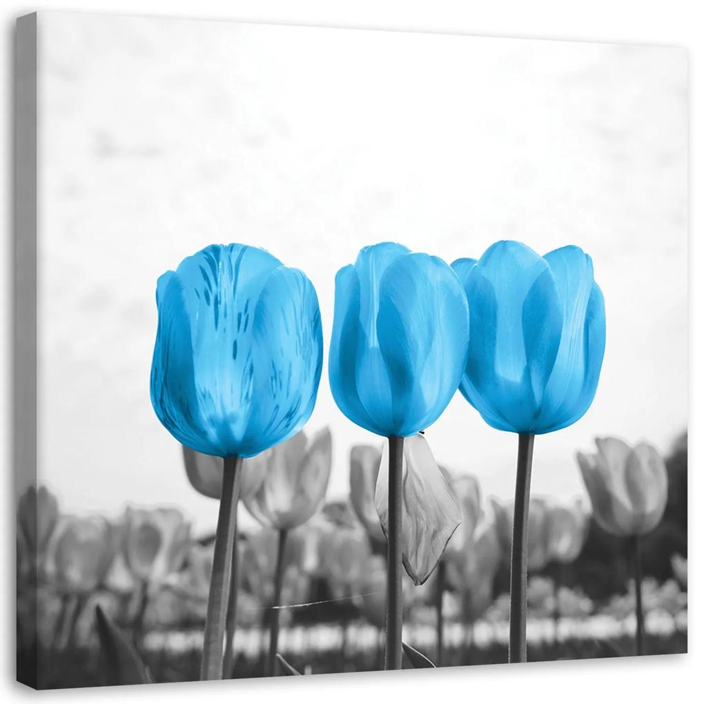 Gario Obraz na plátně Modré tulipány Rozměry: 30 x 30 cm