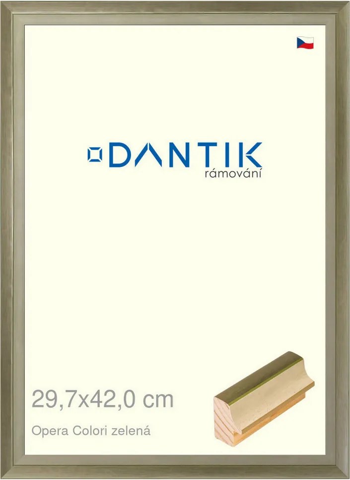 DANTIK rámeček 29,7x42 | OPERA Colori zelená (Plexi Čiré)