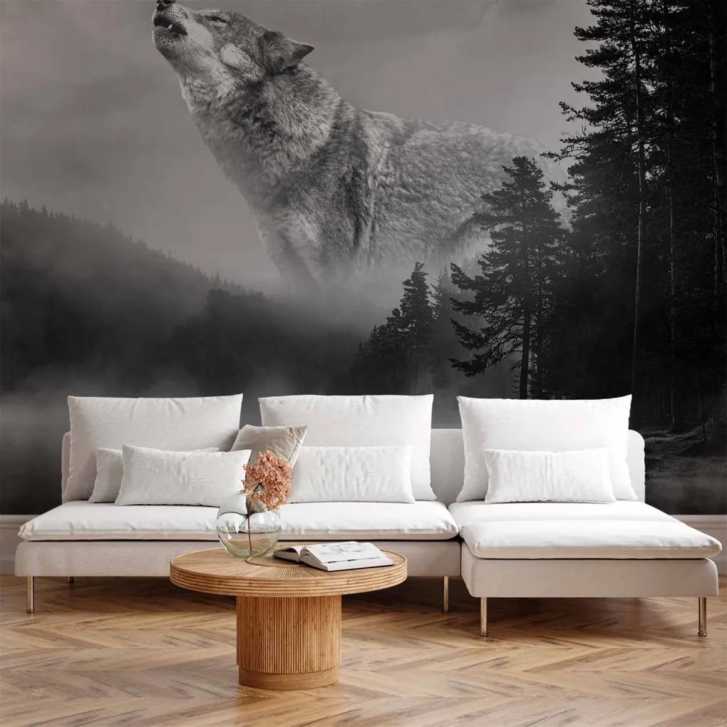 Fototapeta Lesní krajina - černobílý vlk v mlhavém lese u jezera