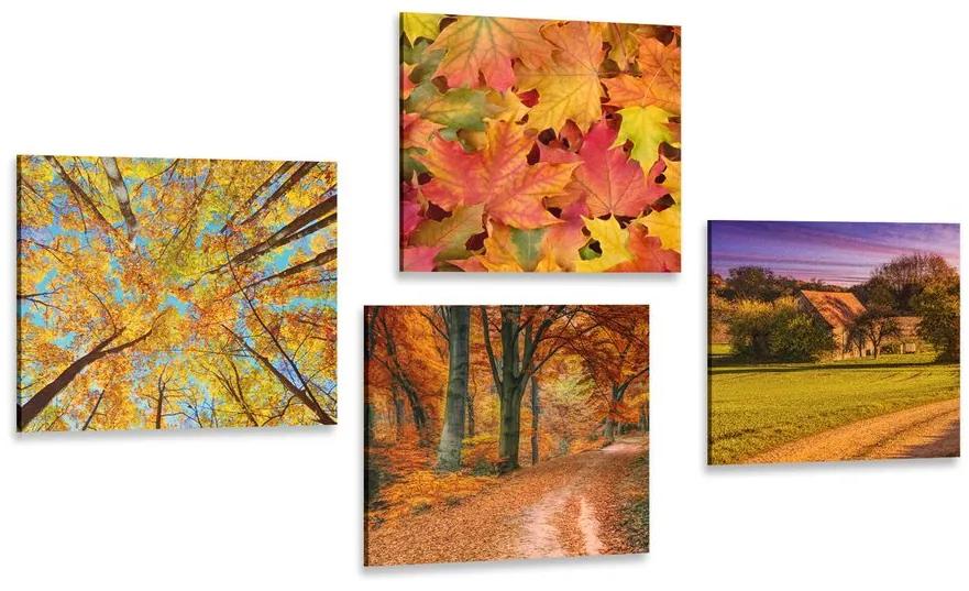 Set obrazů příroda v podzimních barvách Varianta: 4x 40x40