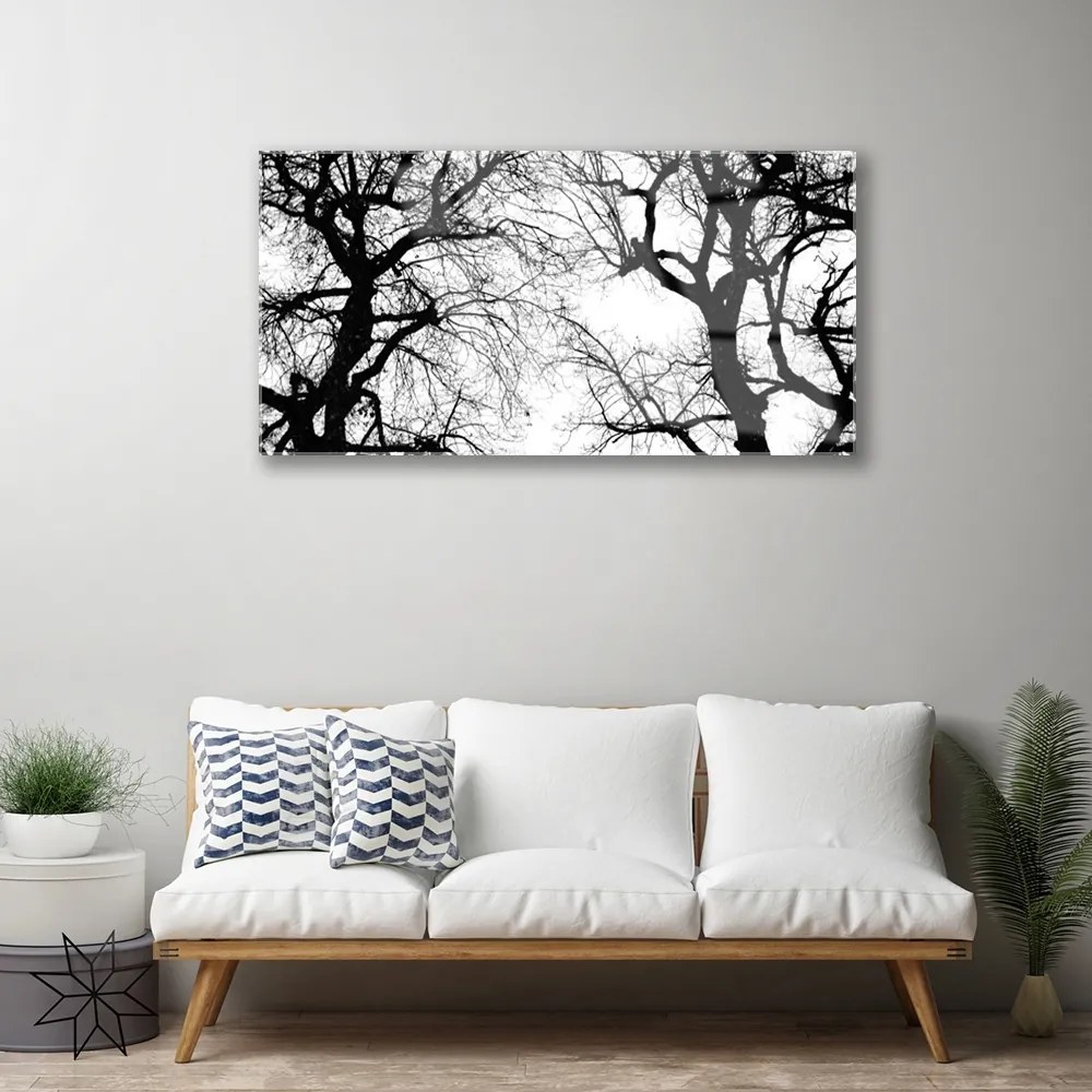 Obraz na skle Stromy Příroda Černobílý 120x60 cm