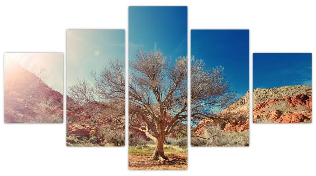 Obraz stromu v poušti (125x70 cm)
