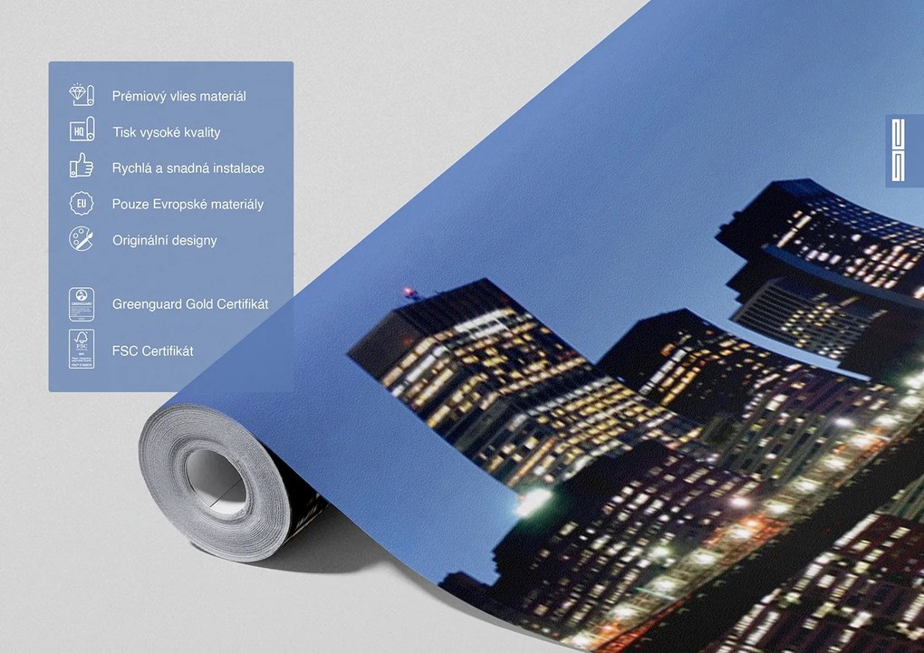 Fototapeta na zed' Výhled na Brooklynský Most | 360 x 254 cm | DFTS0107