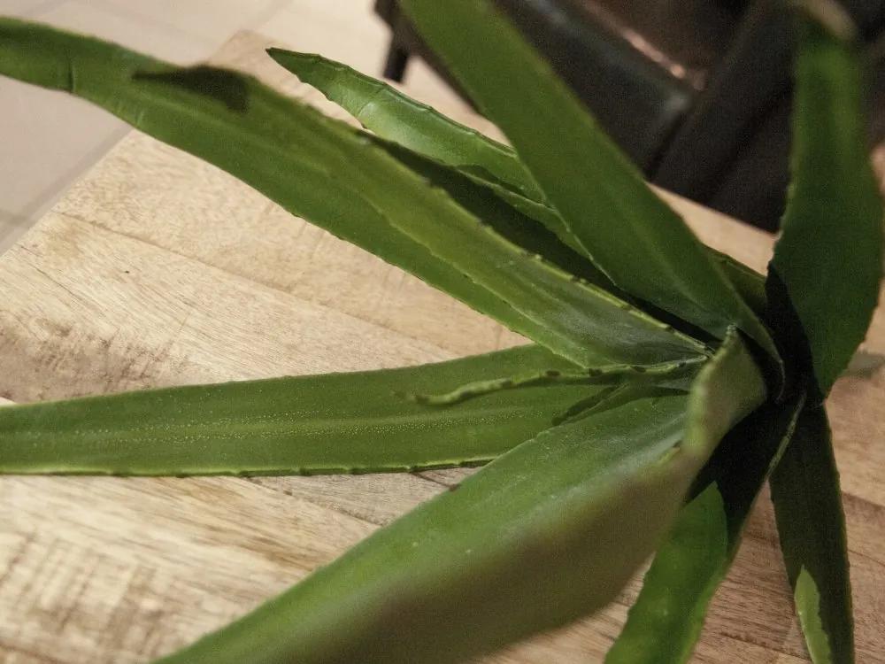 Umělá květina - Aloe vera zelená, 50 cm
