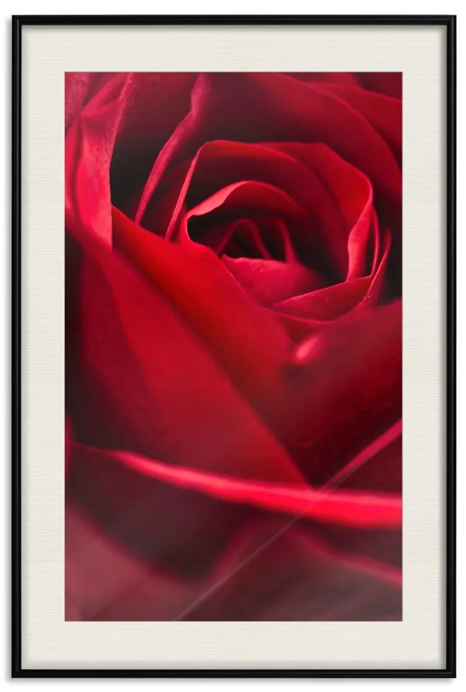 Plakát Jemný květ - detailní fotografie okvětních lístků červené růže
