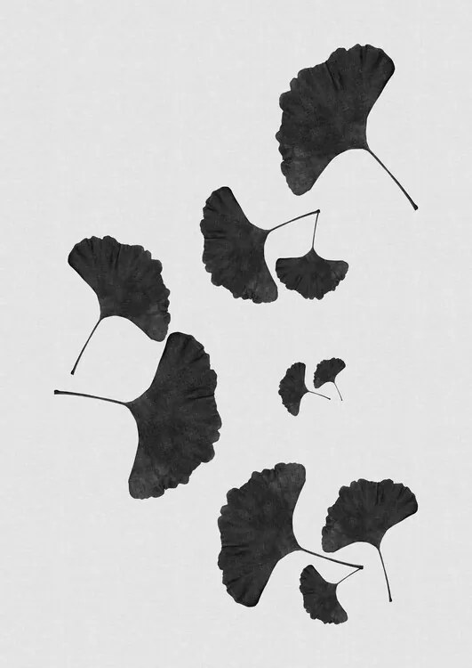 Ilustrace Ginkgo Leaf Black & White I, Orara Studio, (30 x 40 cm)