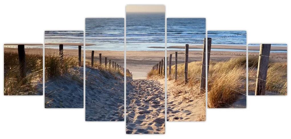 Obraz - Cesta k pláži Severního moře, Nizozemsko (210x100 cm)