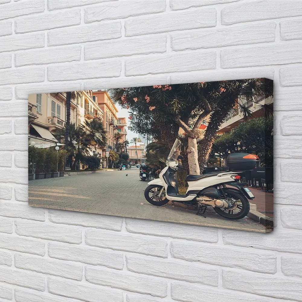 Obrazy na plátně městské Motocykly palmového léta 100x50 cm