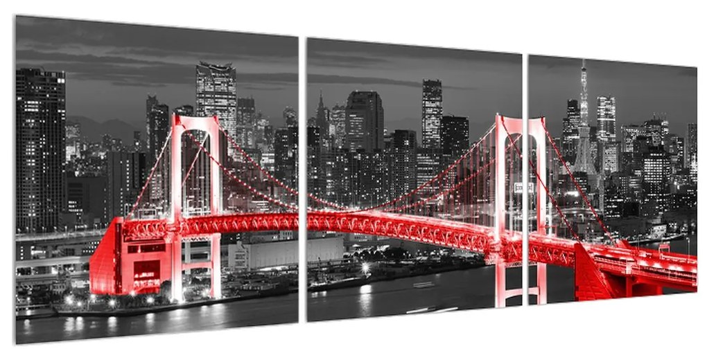 Moderní obraz mostu (120x40 cm)
