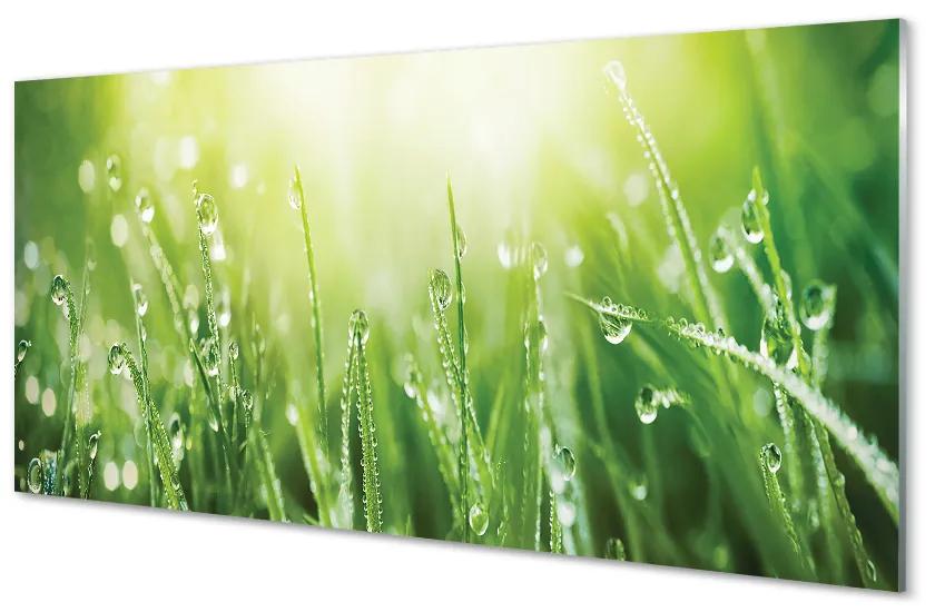 Obraz na skle Tráva slunce kapky 120x60 cm
