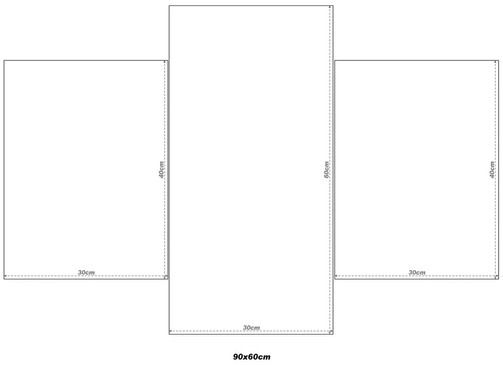Gario 3 dílný fotoobraz na plátni Rozměry: 90 x 80 cm