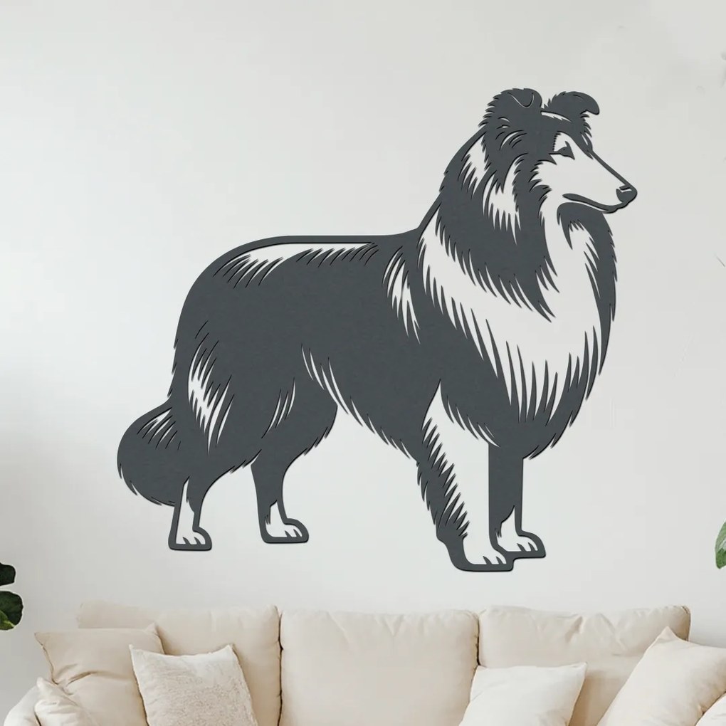 dřevo života Dřevěný obraz Dlouhosrsté kolie Zvolte rozměr (cm): 40x38, Zvolte barvu dekoru: Černá