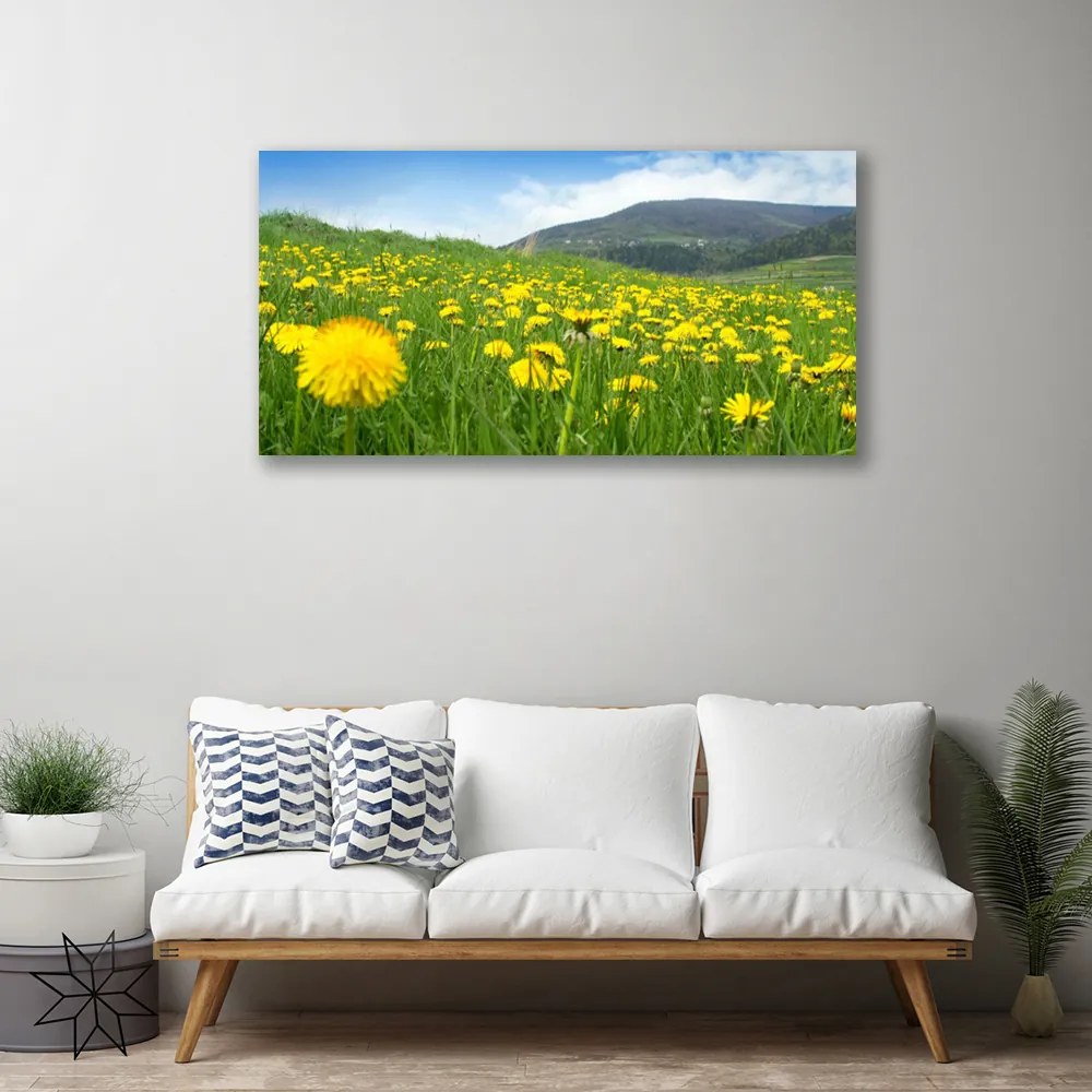 Obraz na plátně Pampeliška Příroda 120x60 cm