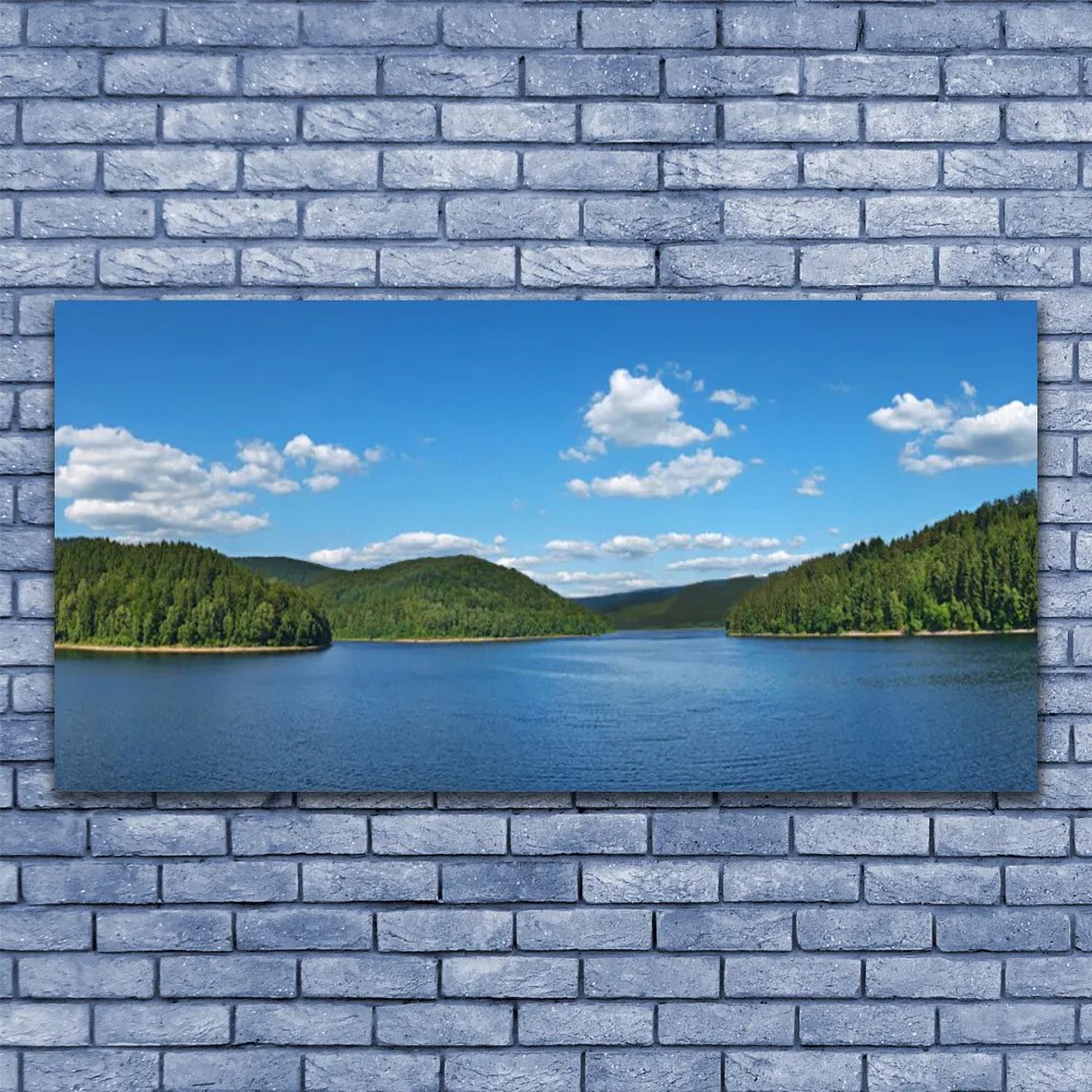 Plexisklo-obraz Jezero Les Krajina 120x60 cm