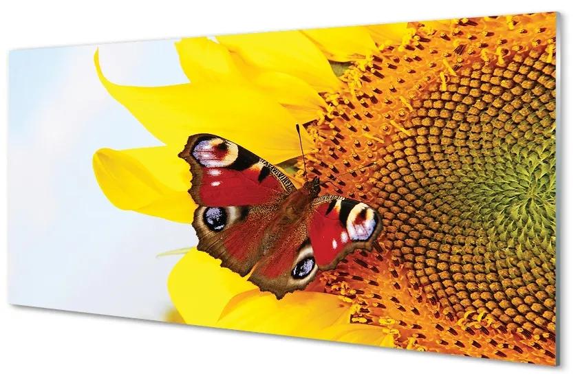 Obraz na skle slunečnice motýl 100x50 cm