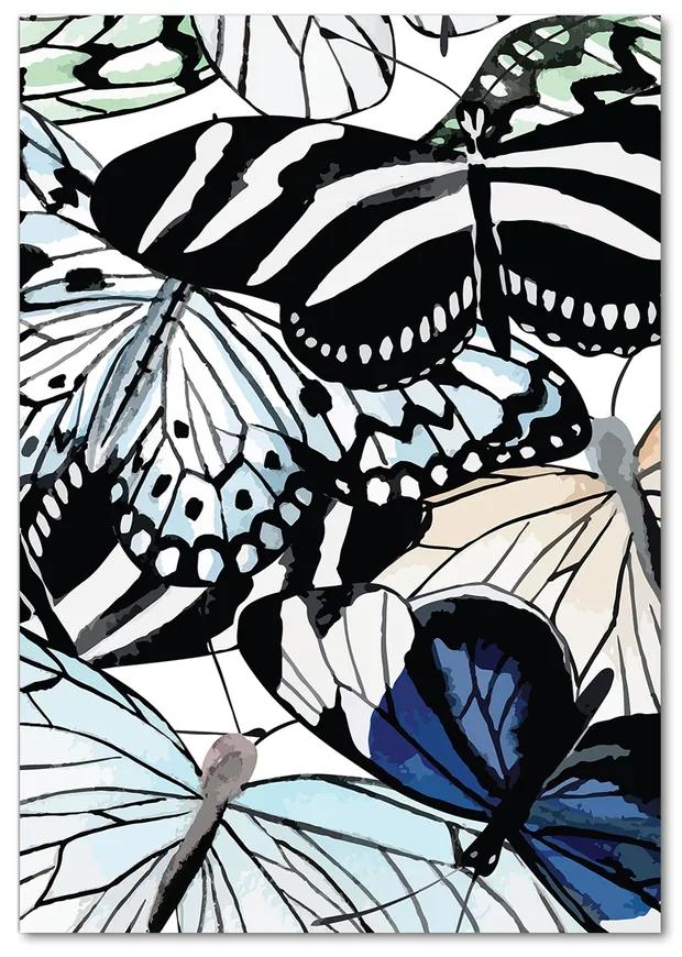 Wallmuralia Foto obraz akrylové sklo Motýli 70x100 cm