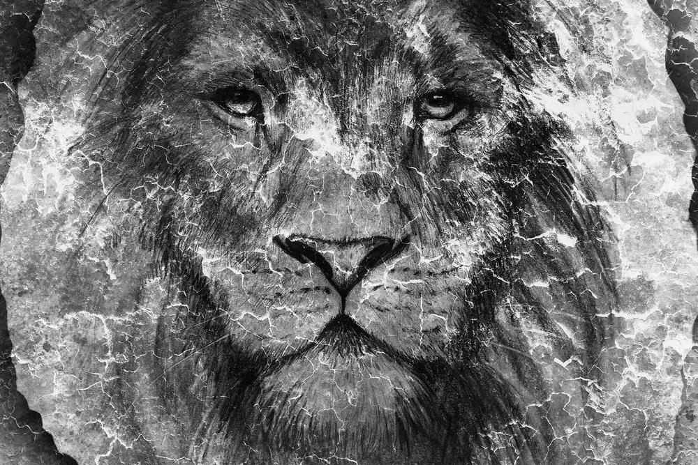 Obraz tvář lva v černobílém provedení Varianta: 120x80