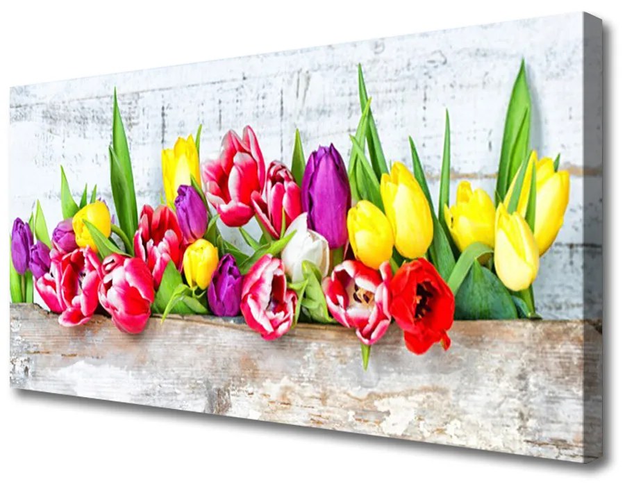 Obraz na plátně Tulipány Květiny Příroda 140x70cm