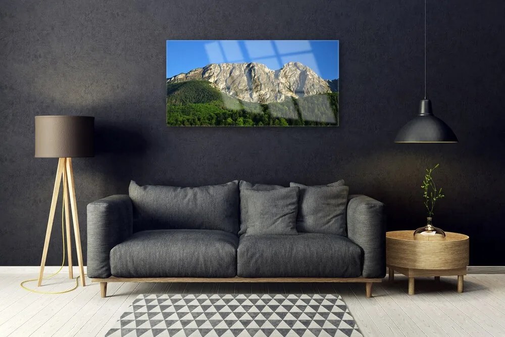 Obraz na skle Hora Les Příroda 120x60 cm