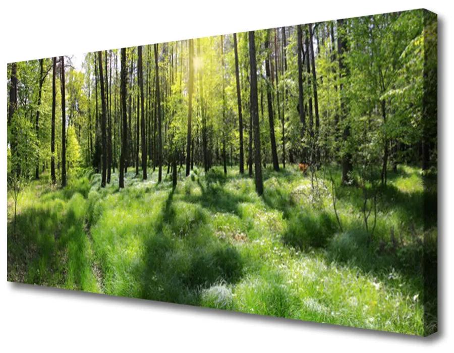 Obraz na plátně Les Tráva Rostlina Příroda 125x50 cm