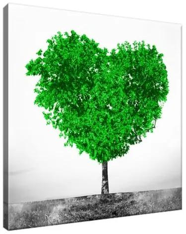 Tištěný obraz Zelený strom lásky 30x30cm 2560A_1AI