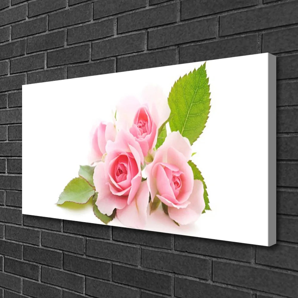 Obraz na plátně Růže Květiny Příroda 120x60 cm