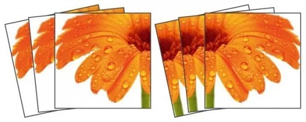 TI 010 Dekorace - samolepky na kachličky - Gerbera | 15 x 15 cm | bílá, oranžová, zelená