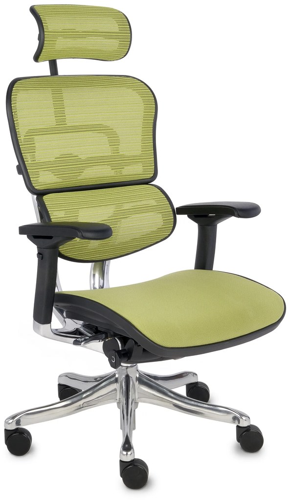 Grospol Ergohuman Plus Elite BT kancelářská židle zelená