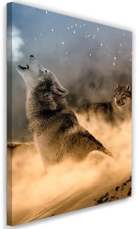 Obraz na plátně Vlk Mlha Zvířecí příroda - 70x100 cm