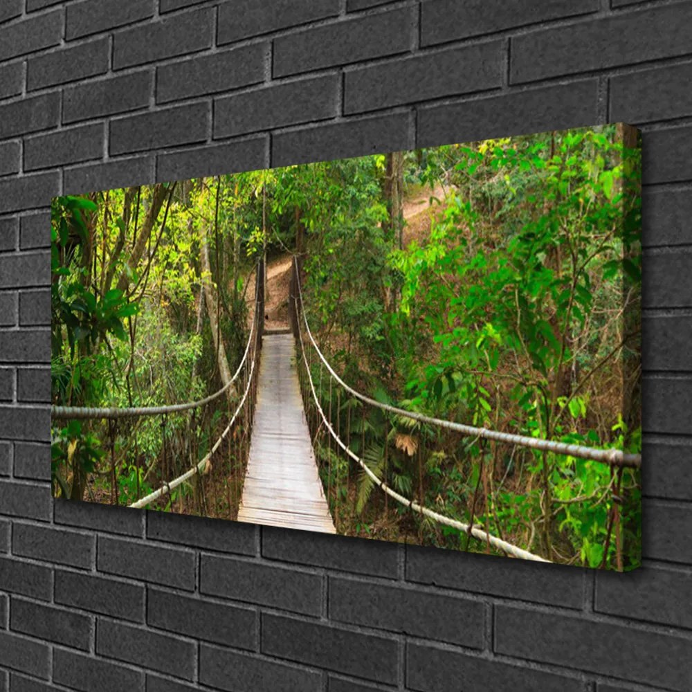 Obraz na plátně Most Džungle Tropický Les 140x70 cm
