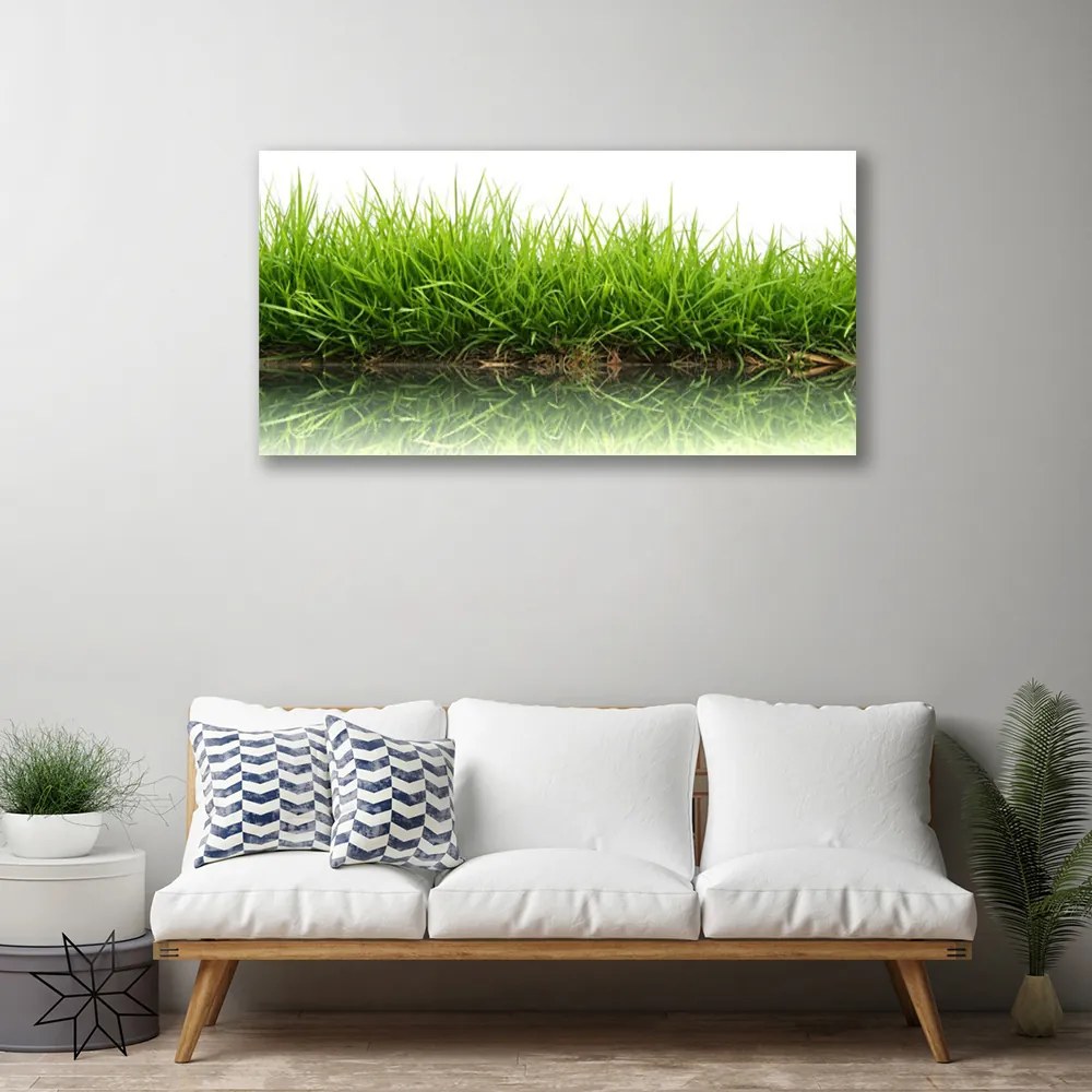 Obraz na plátně Tráva Voda Příroda Rostlina 100x50 cm
