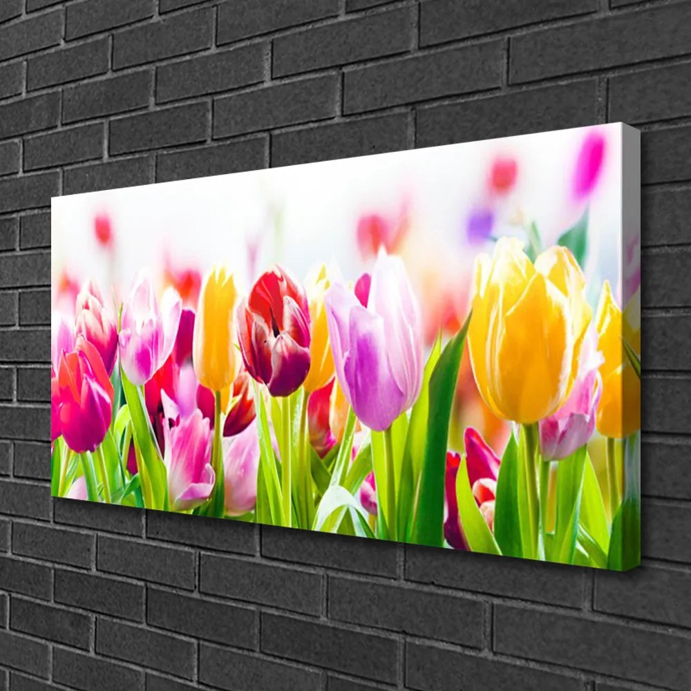 Obraz na plátně Tulipány Květiny 100x50 cm