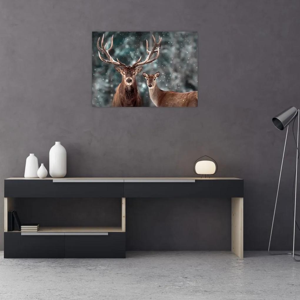 Skleněný obraz - Jelen a laň v zasněženém lese (70x50 cm)