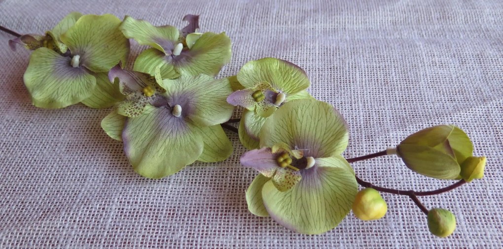 Orchidej zelená 70cm