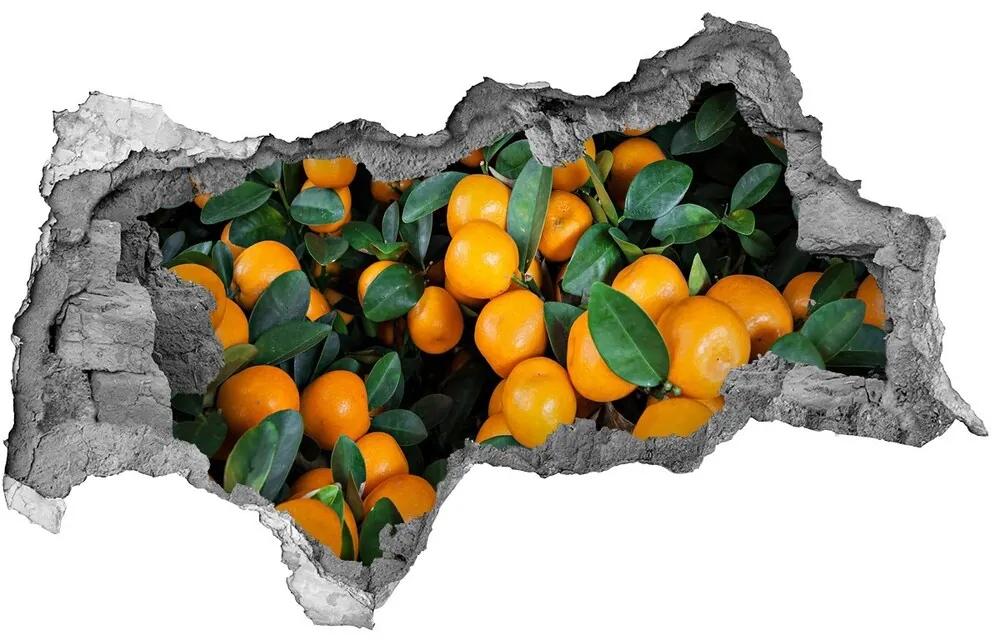 Wallmuralia Nálepka 3D díra beton Mandarinky 95x73 cm